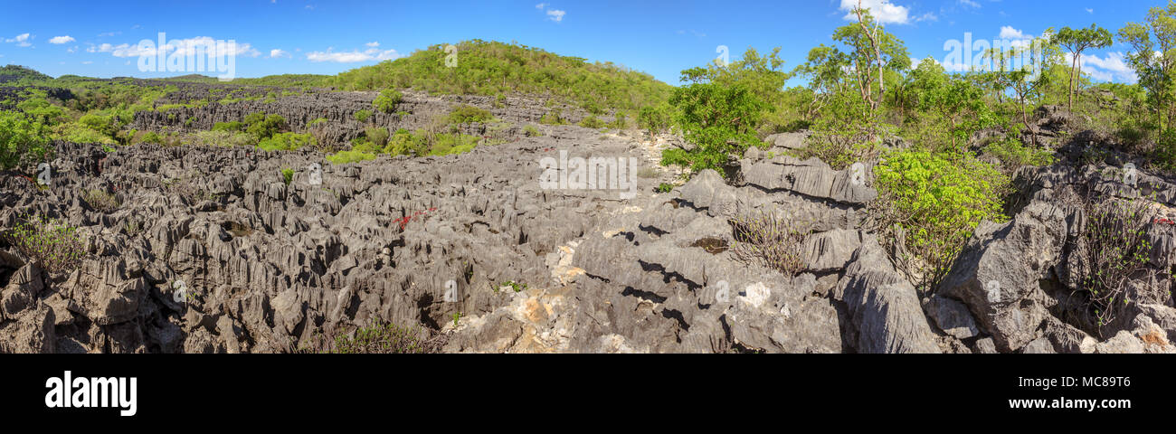 The Tsingy of Ankarana, northern Madagascar Stock Photo - Alamy