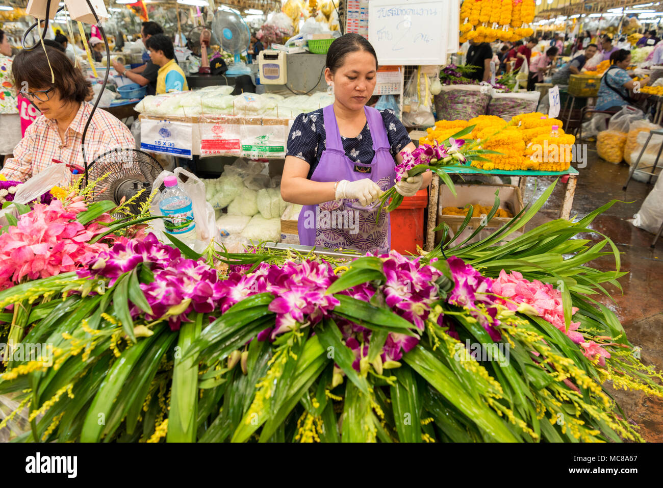 Bangkok flower hi-res stock photography and images - Alamy