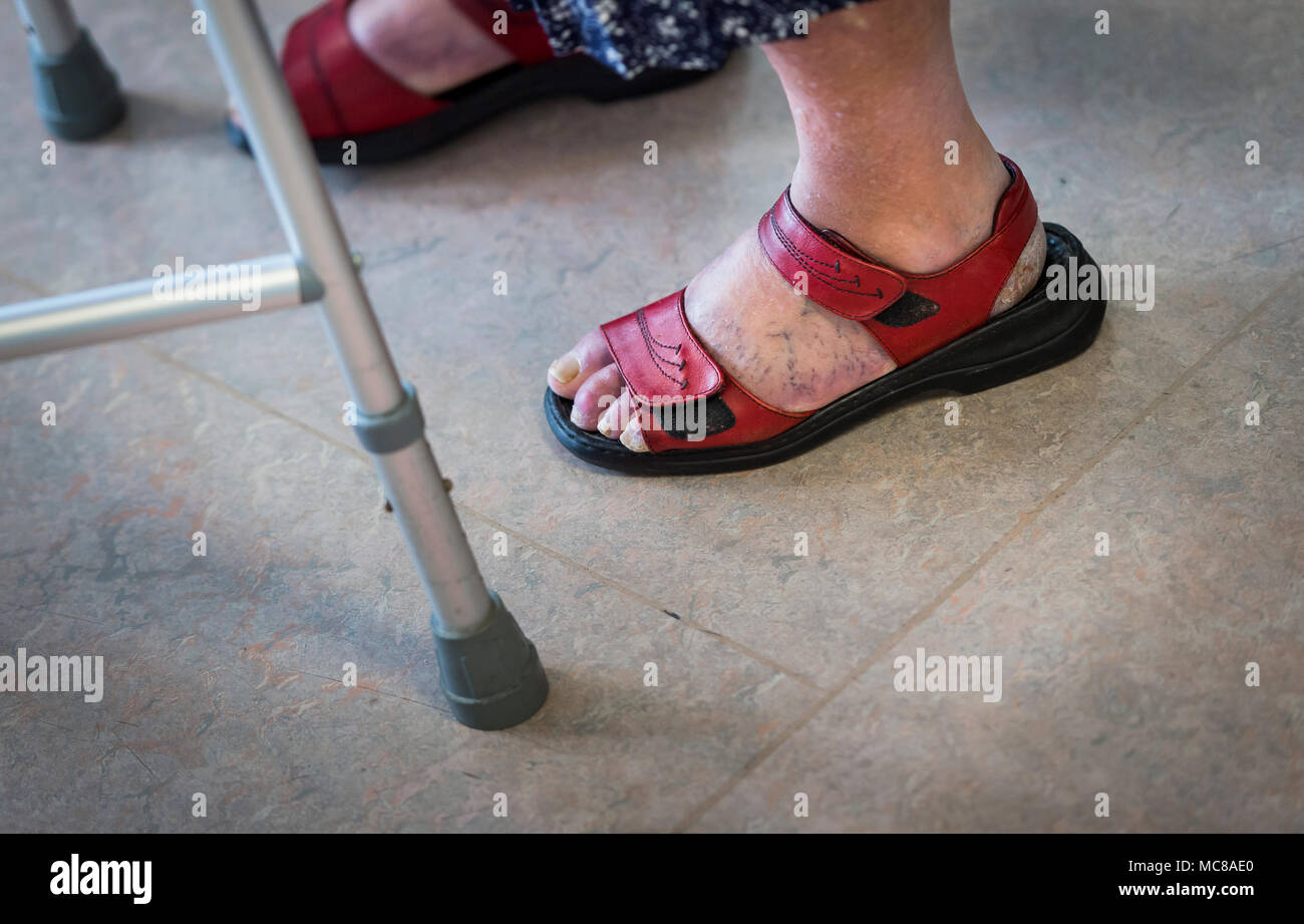 Elderly lady using a walking frame to aid her mobility Stock Photo - Alamy