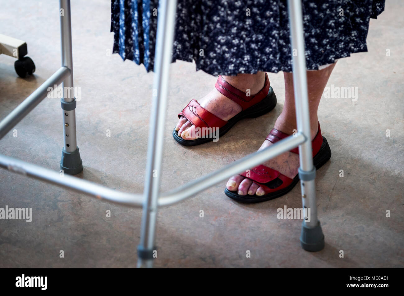 Elderly lady using a walking frame to aid her mobility Stock Photo - Alamy