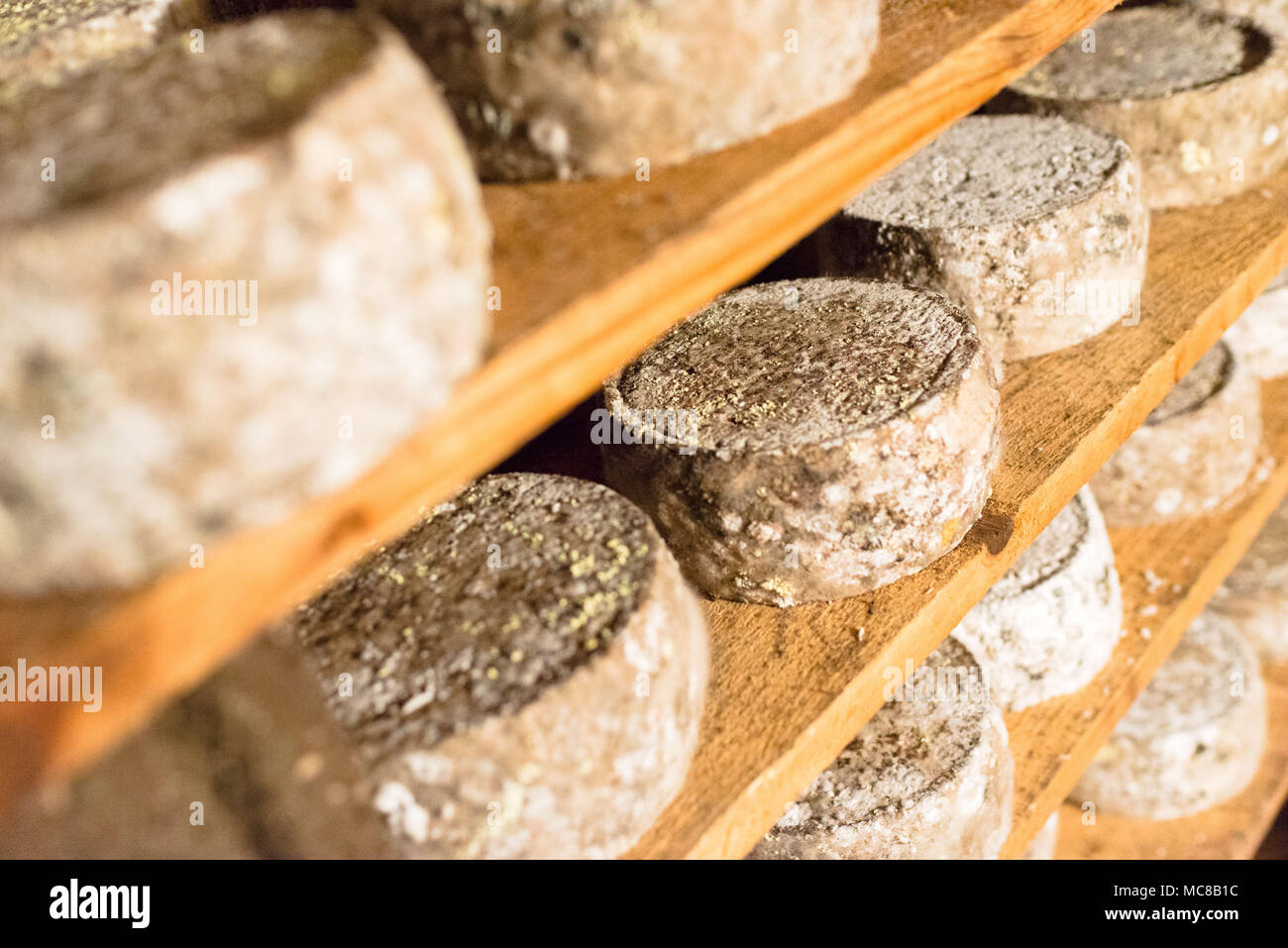 Manigot (French Alps, eastern France). Transformation of milk into ...