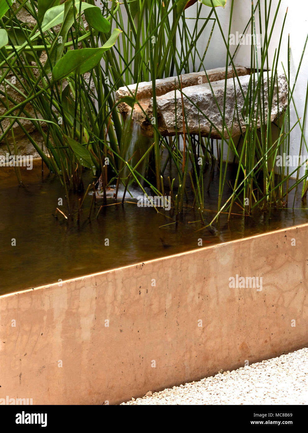 Water feature. Merida House 2, Merida, Mexico. Architect: Reyes Rios ...