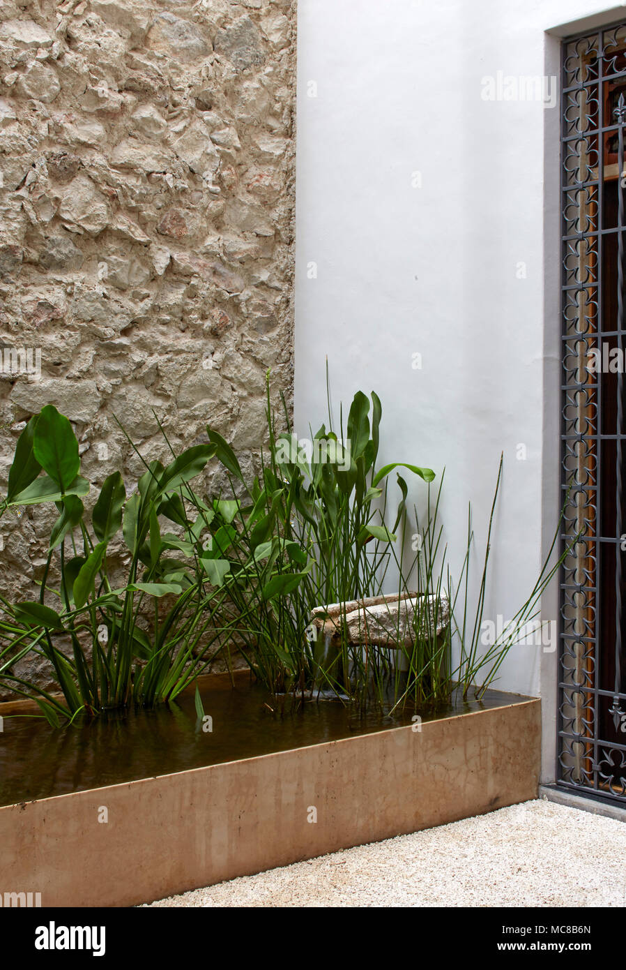 Water feature. Merida House 2, Merida, Mexico. Architect: Reyes Rios ...