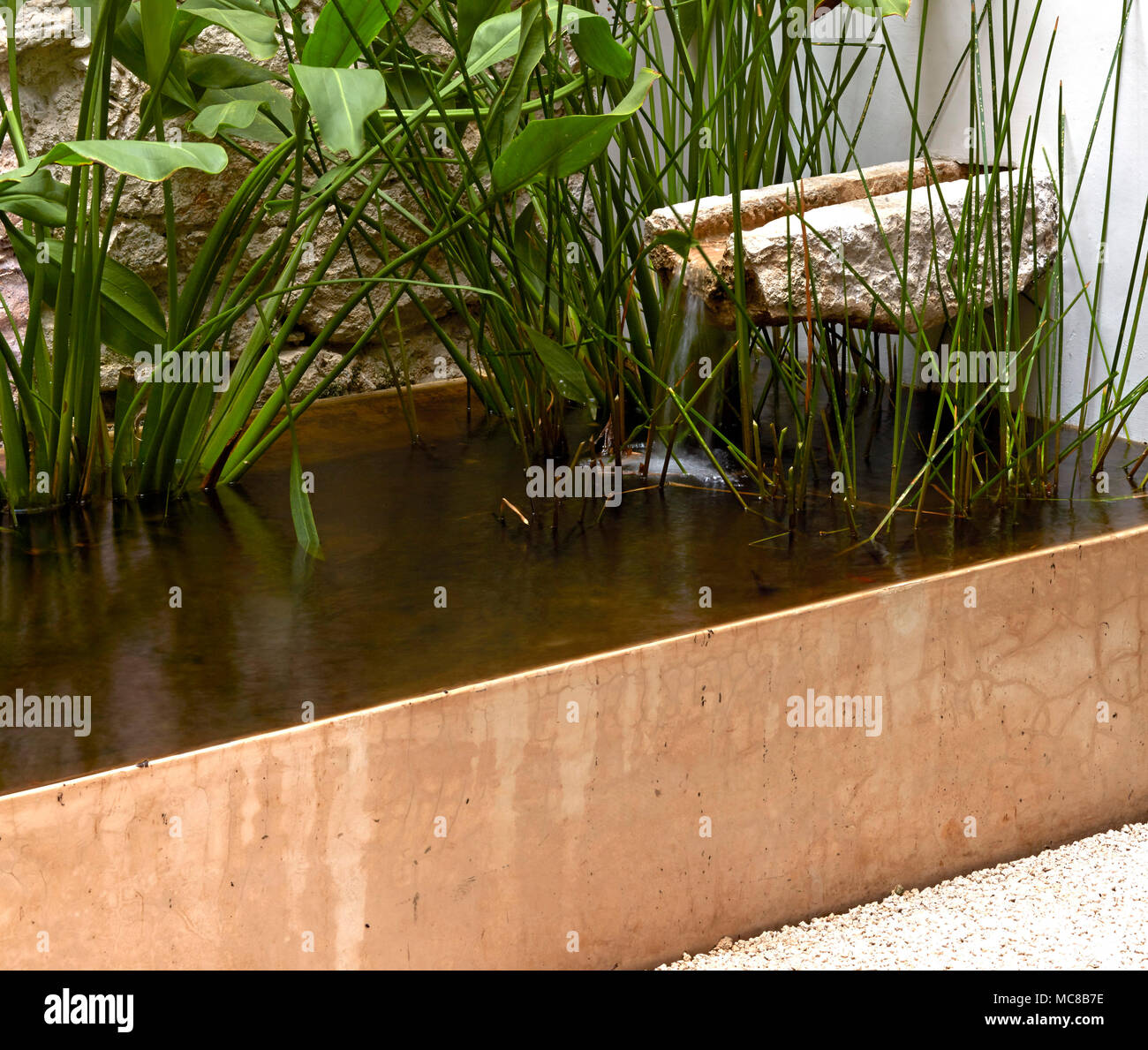 Water feature. Merida House 2, Merida, Mexico. Architect: Reyes Rios ...