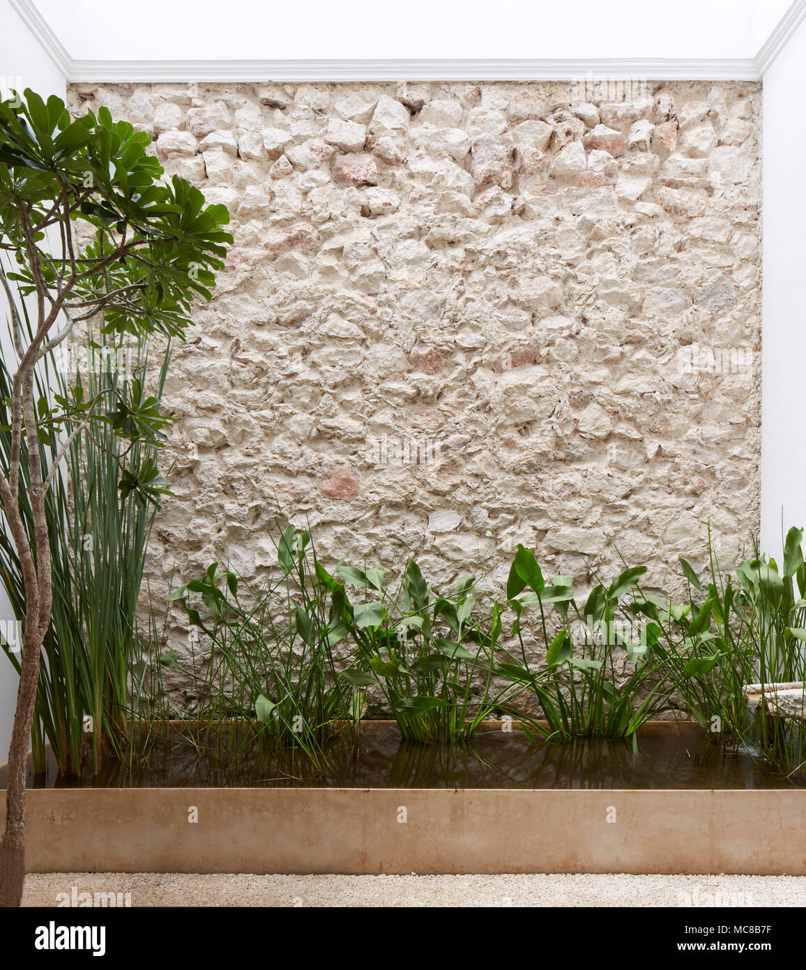 Water feature. Merida House 2, Merida, Mexico. Architect: Reyes Rios ...
