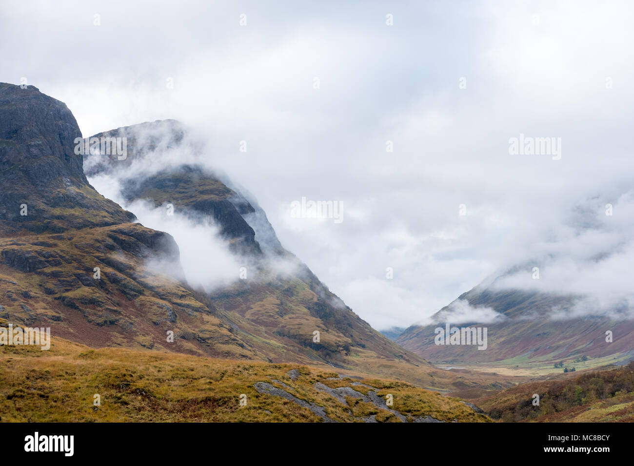 Scenic Landscape View of Mountain, Forest in Scottish Highlands Stock ...