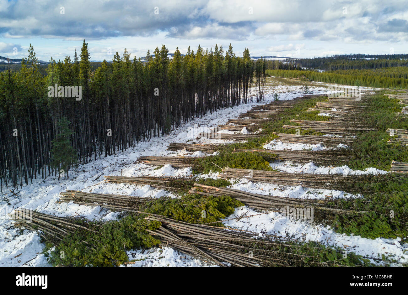 An overhead drone photo of clearcut logging in progress Stock Photo - Alamy