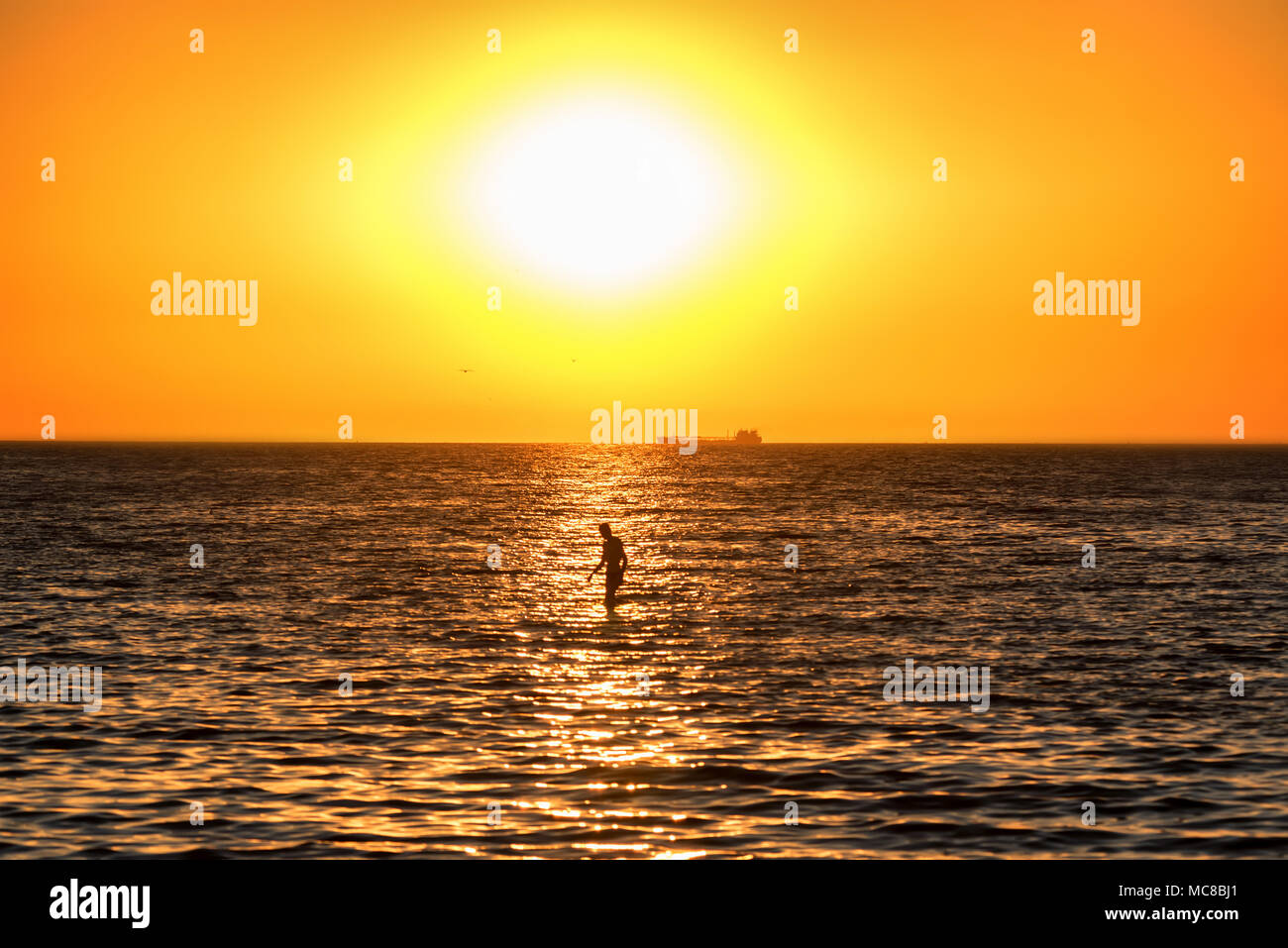 Lanscape of Azov sea water, seagulls in orange sky and man entering ...