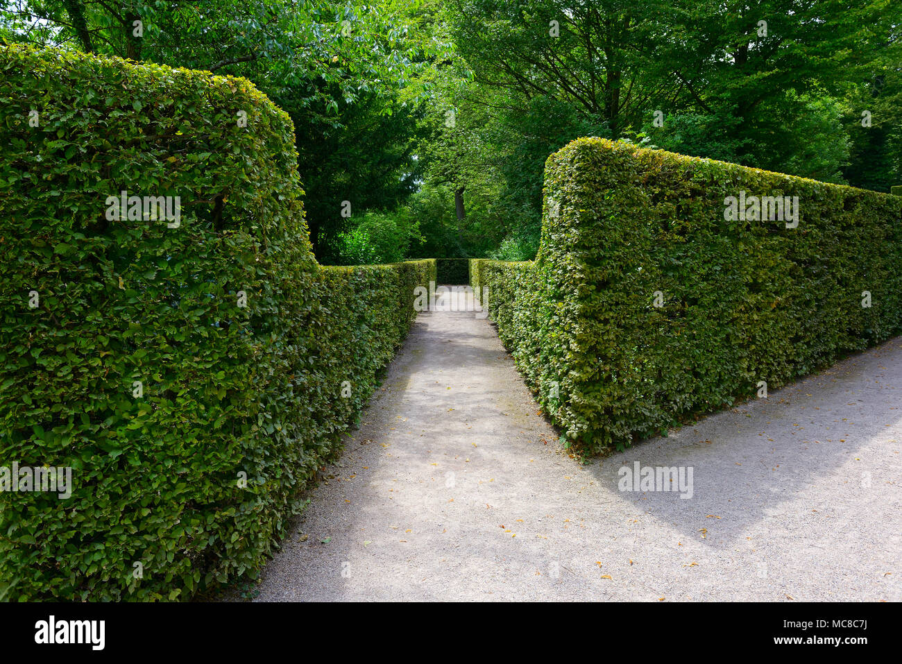 High hedges hi-res stock photography and images - Alamy