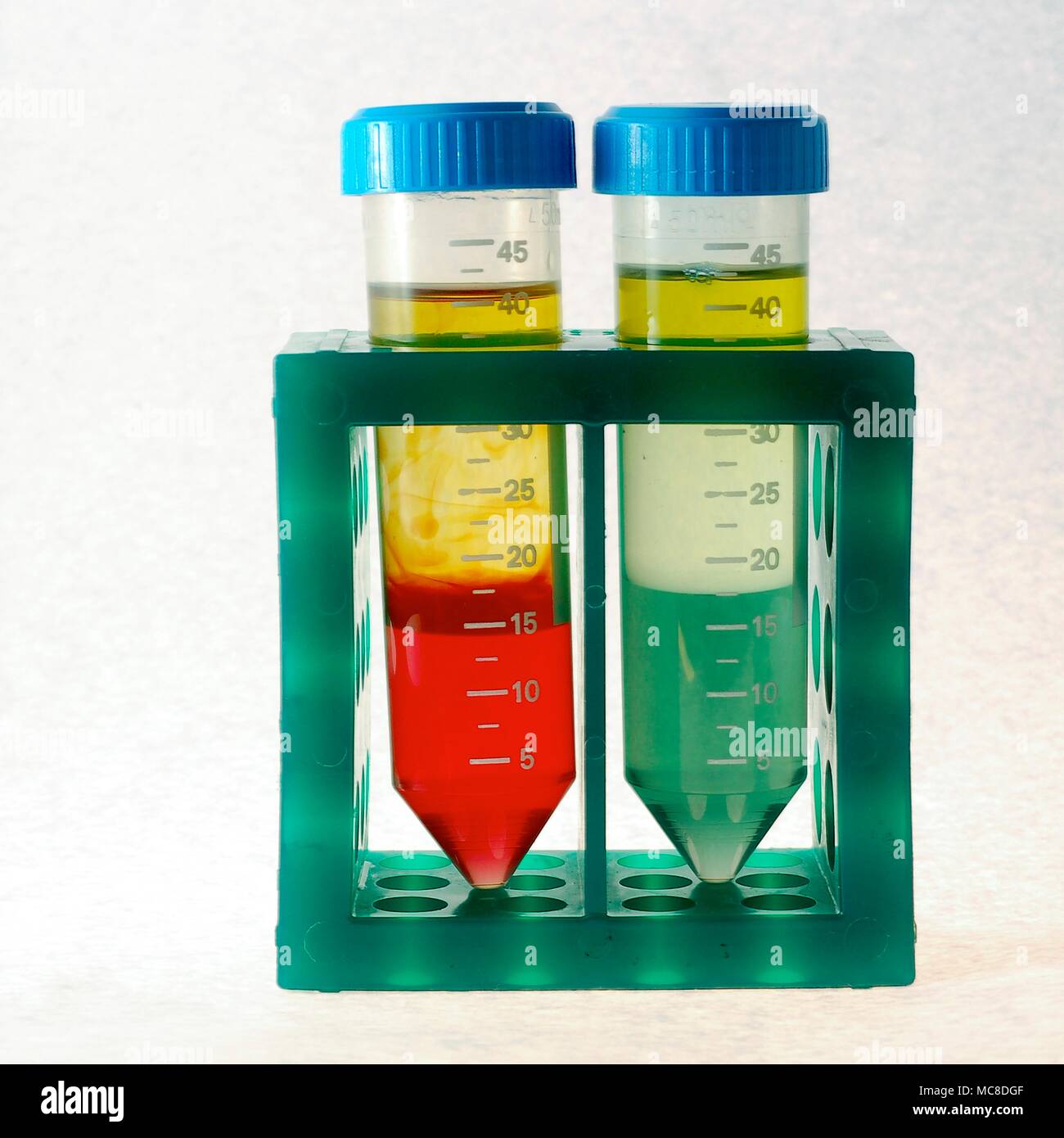 Phase separation in test tubes. These solutions have separated into ...