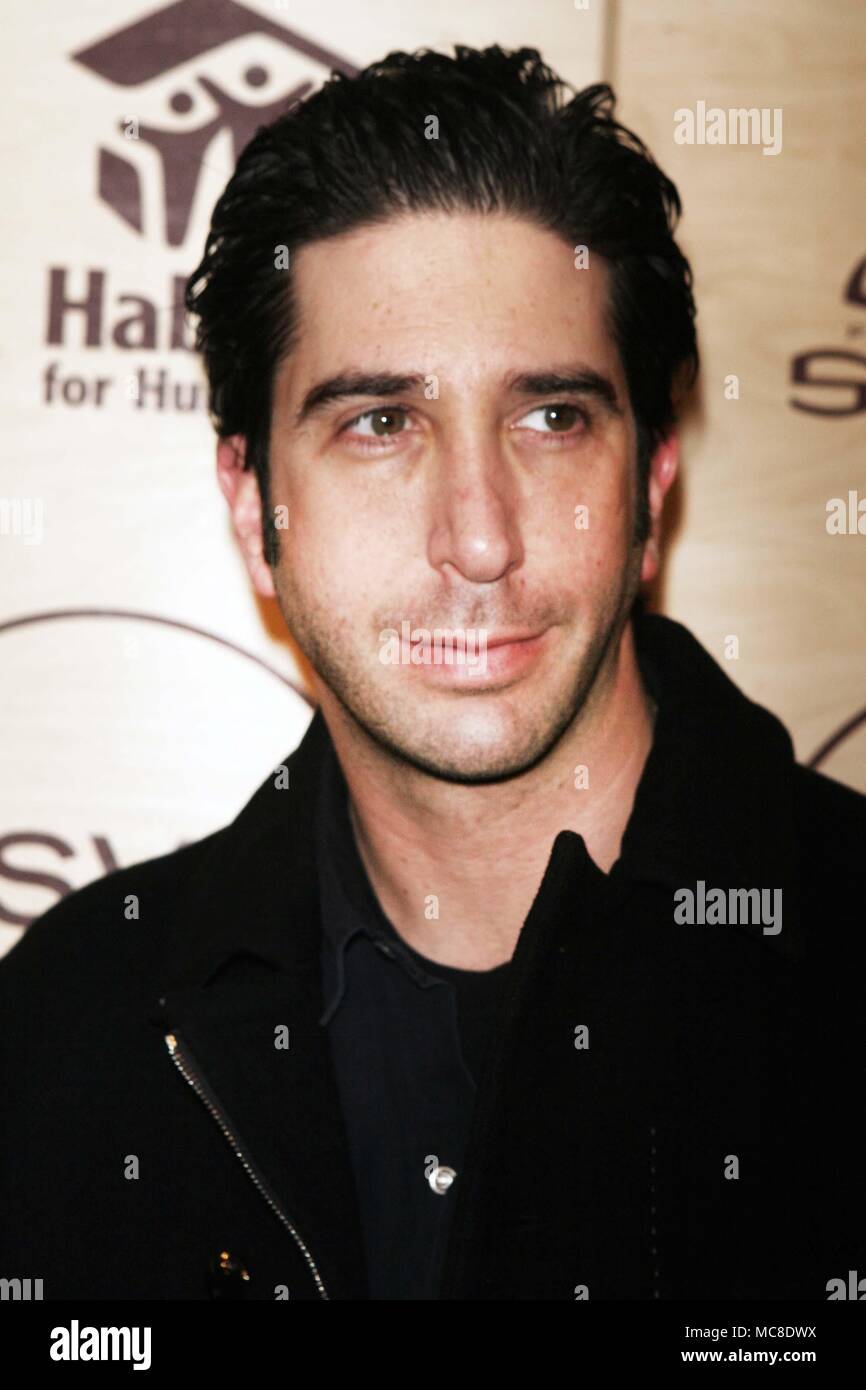 David schwimmer stock hi-res stock photography and images - Alamy