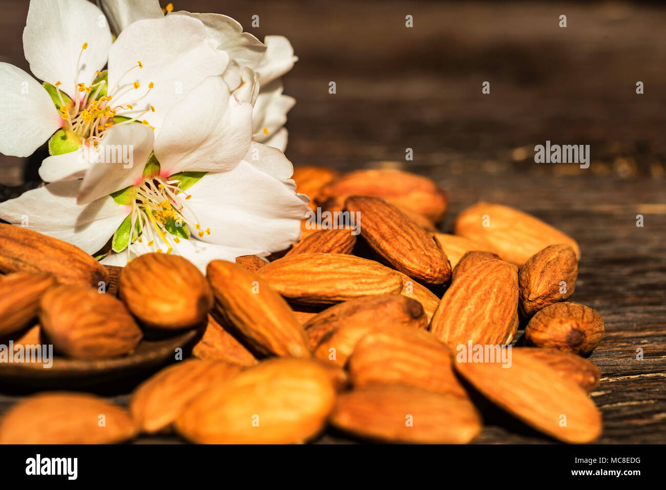 Close up almonds and beautiful white flowers of almond tree on dark ...