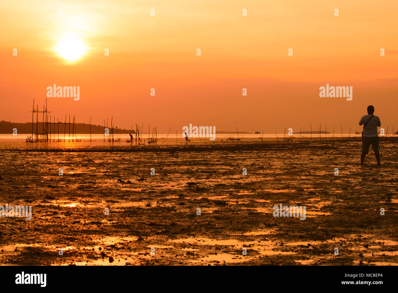 scenic naturally of golden hours sunset Stock Photo - Alamy