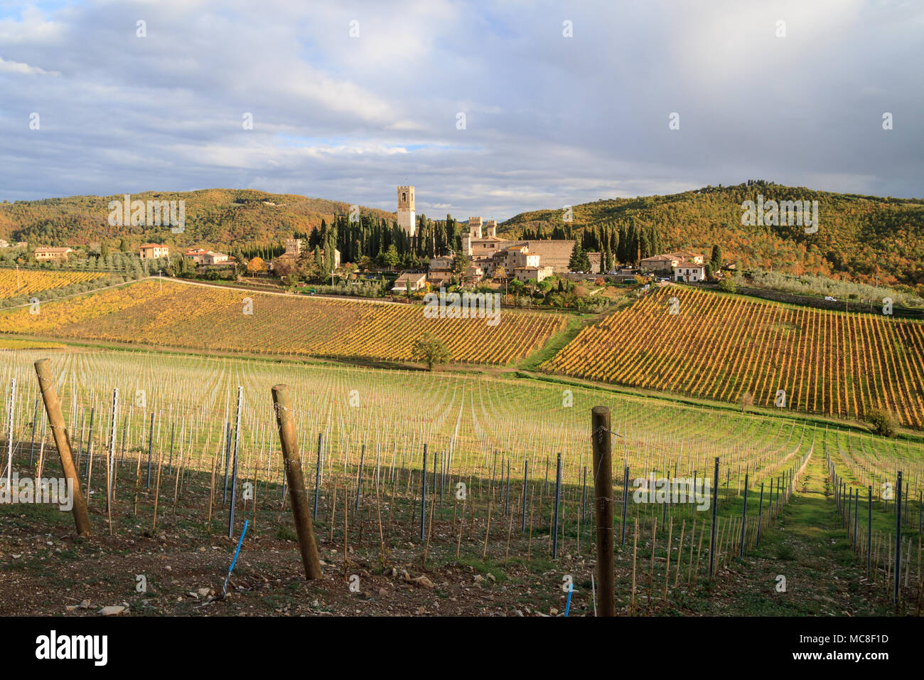 Chianti, November 2017: Vineyard landscape with characteristic Church ...