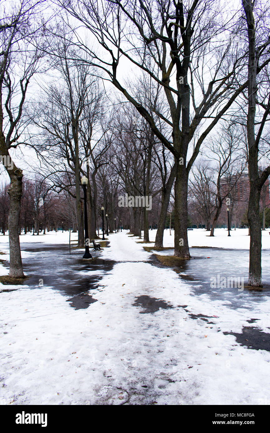 Pathway through tree lined park hi-res stock photography and images - Alamy