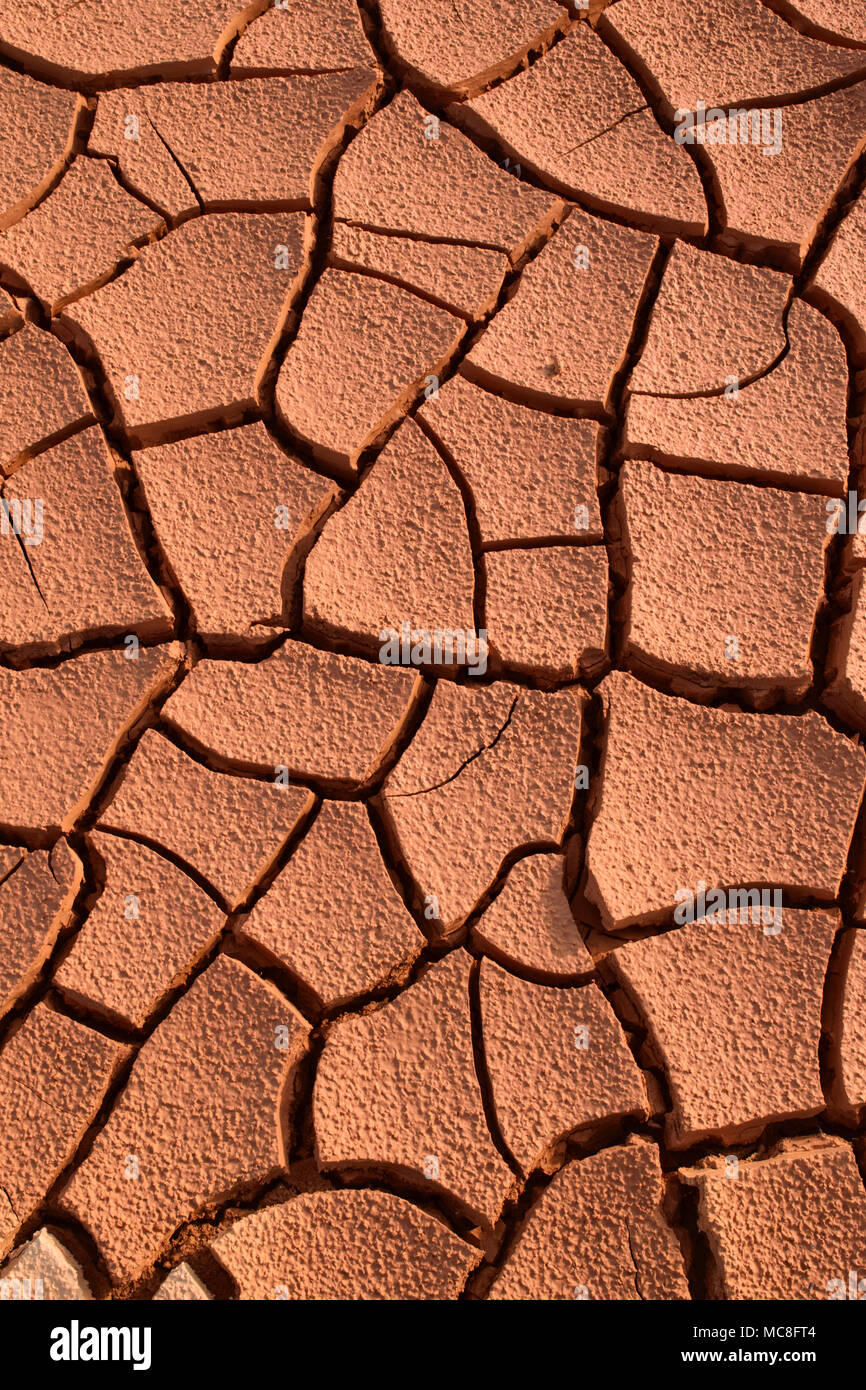 natural pattern, texture, abstract and background in nature Stock Photo ...