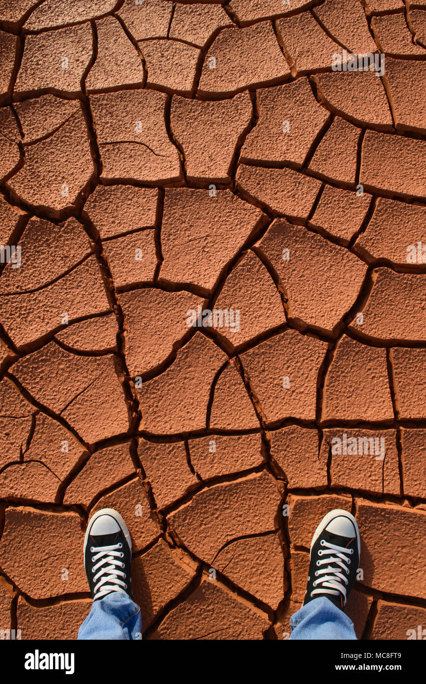 natural pattern, texture, abstract and background in nature Stock Photo ...