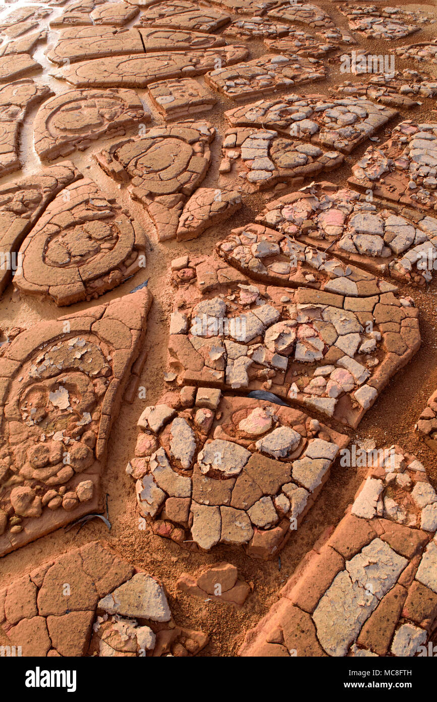 natural pattern, texture, abstract and background in nature Stock Photo ...