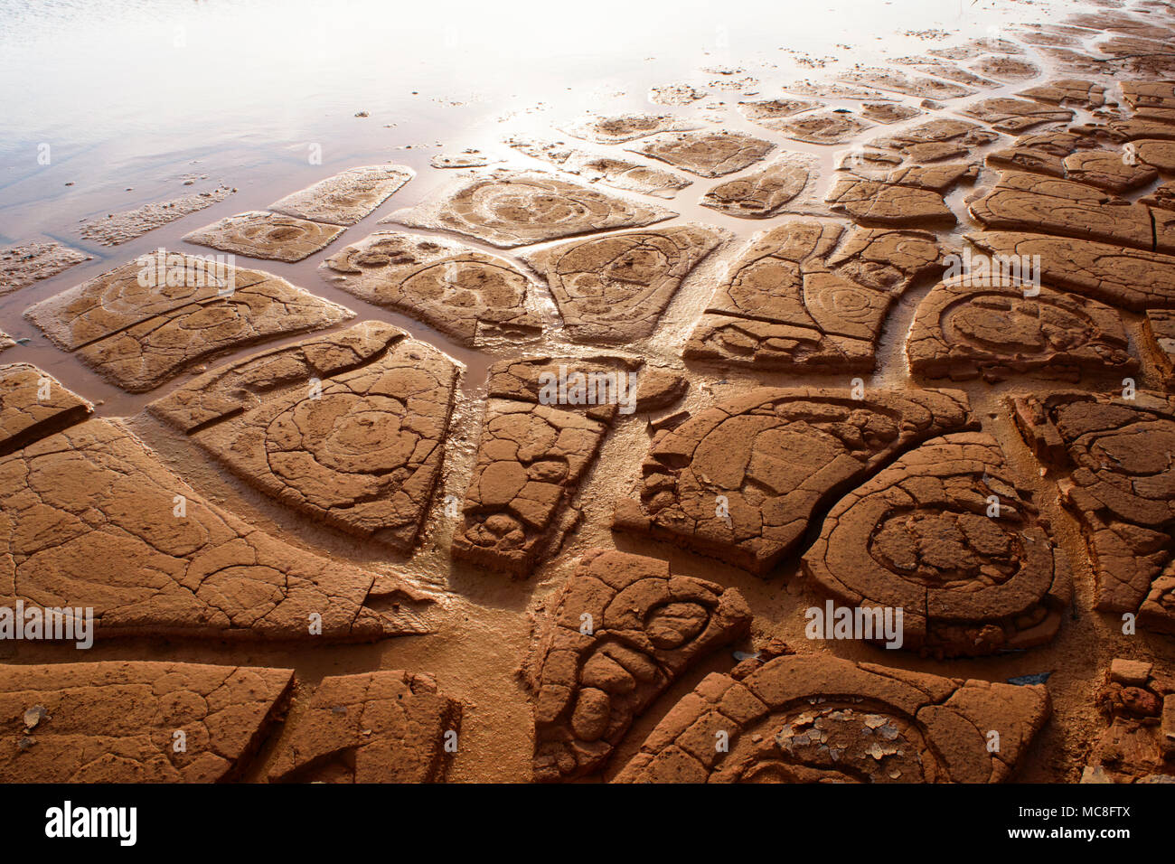 natural pattern, texture, abstract and background in nature Stock Photo ...