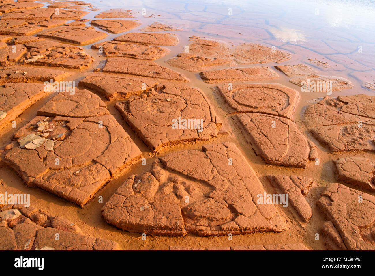 natural pattern, texture, abstract and background in nature Stock Photo ...