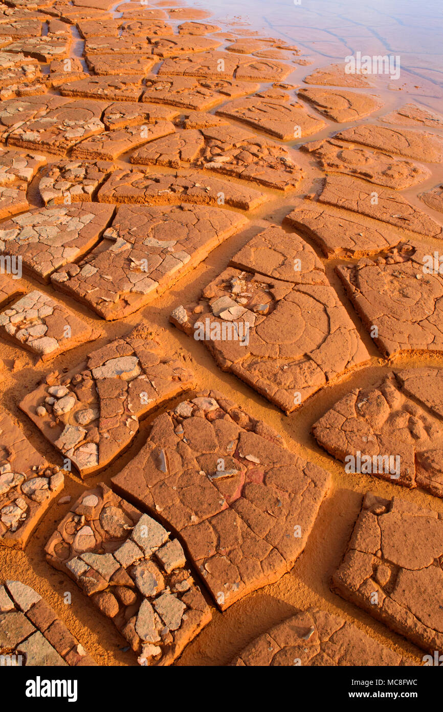 natural pattern, texture, abstract and background in nature Stock Photo ...