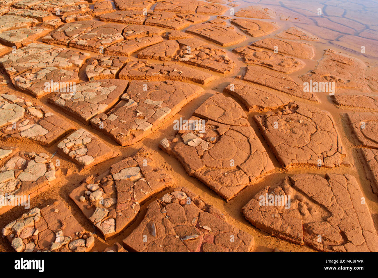 natural pattern, texture, abstract and background in nature Stock Photo ...