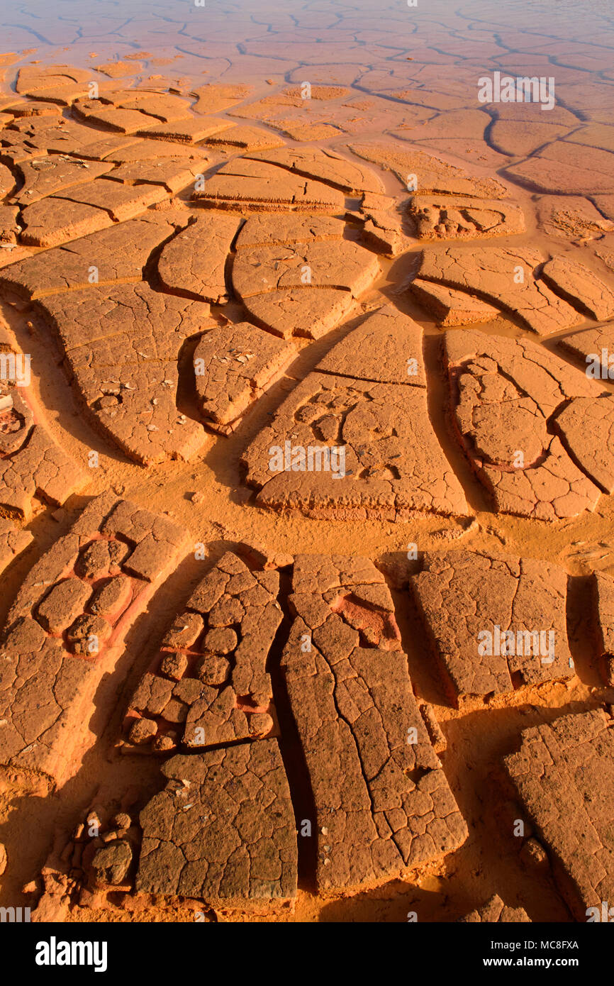 natural pattern, texture, abstract and background in nature Stock Photo ...