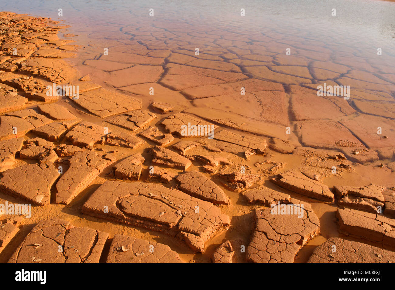 natural pattern, texture, abstract and background in nature Stock Photo ...