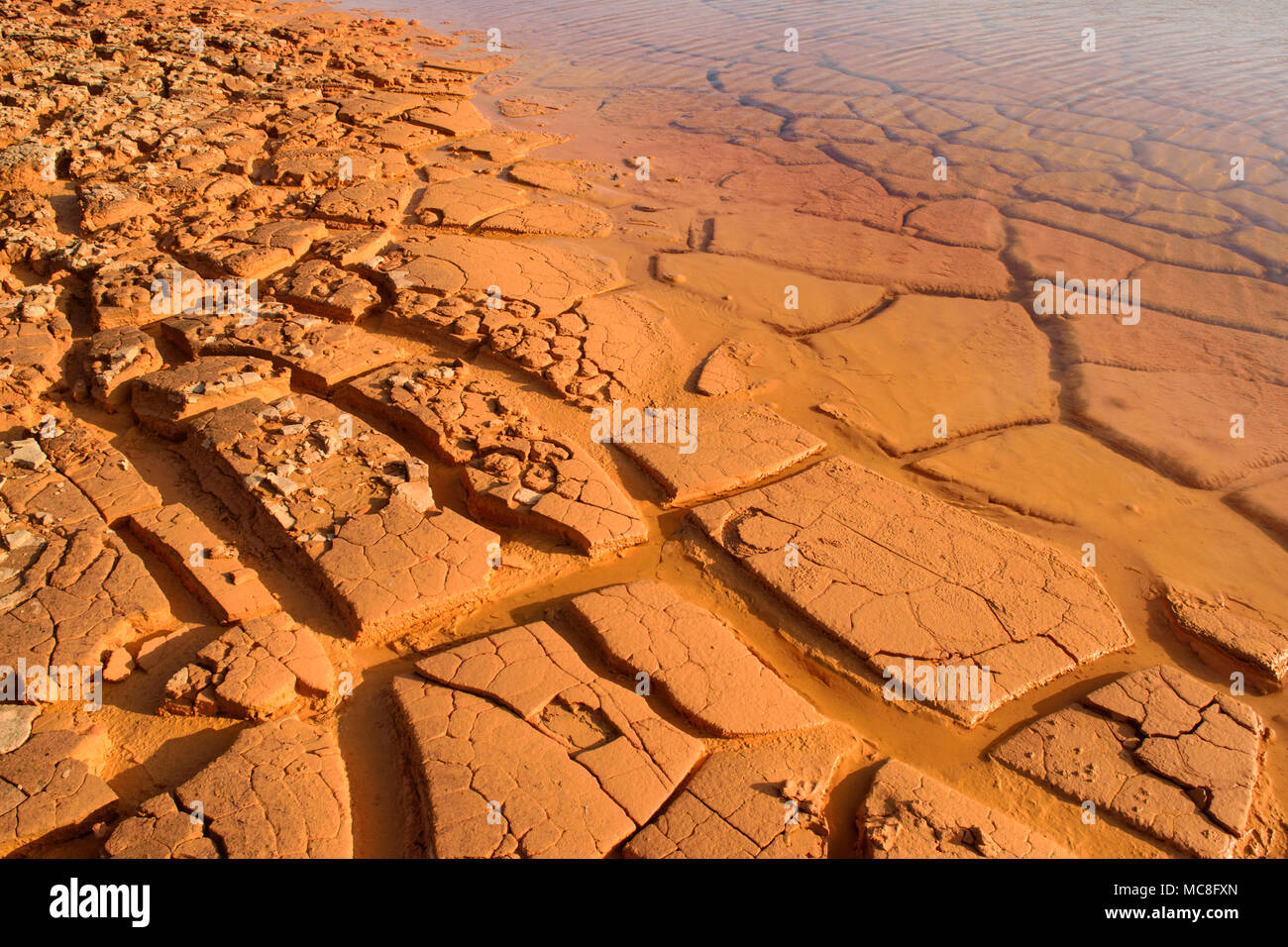 natural pattern, texture, abstract and background in nature Stock Photo ...
