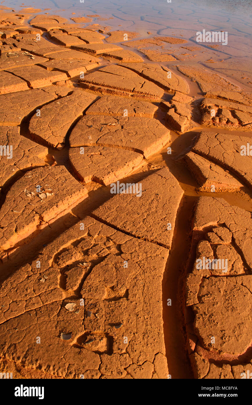 natural pattern, texture, abstract and background in nature Stock Photo ...