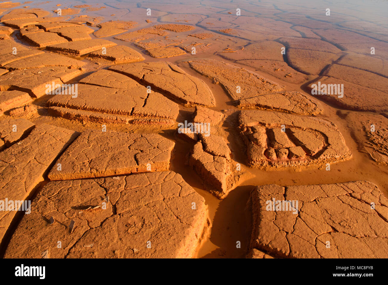 natural pattern, texture, abstract and background in nature Stock Photo ...