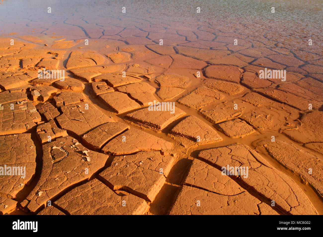 natural pattern, texture, abstract and background in nature Stock Photo ...