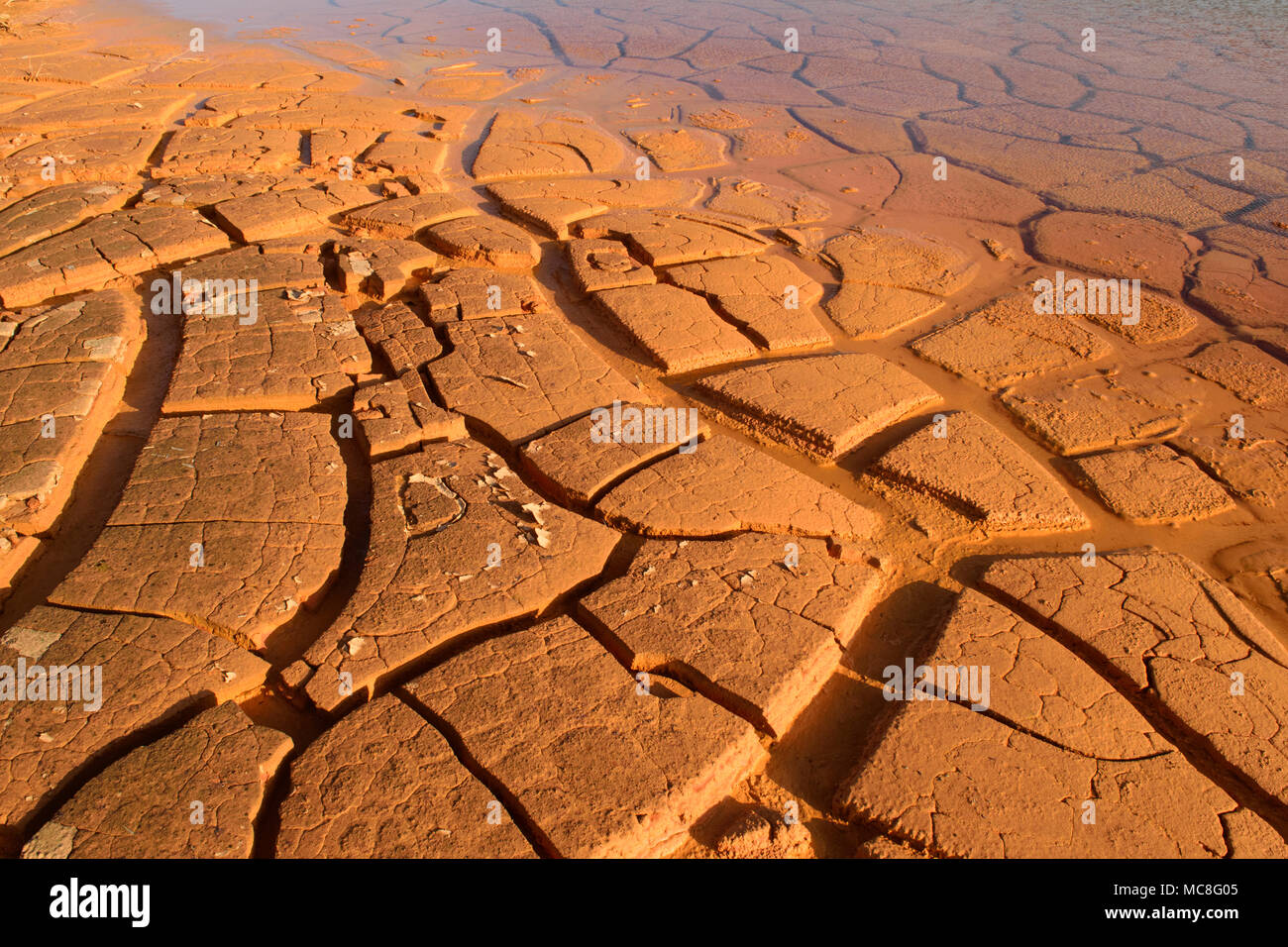 natural pattern, texture, abstract and background in nature Stock Photo ...