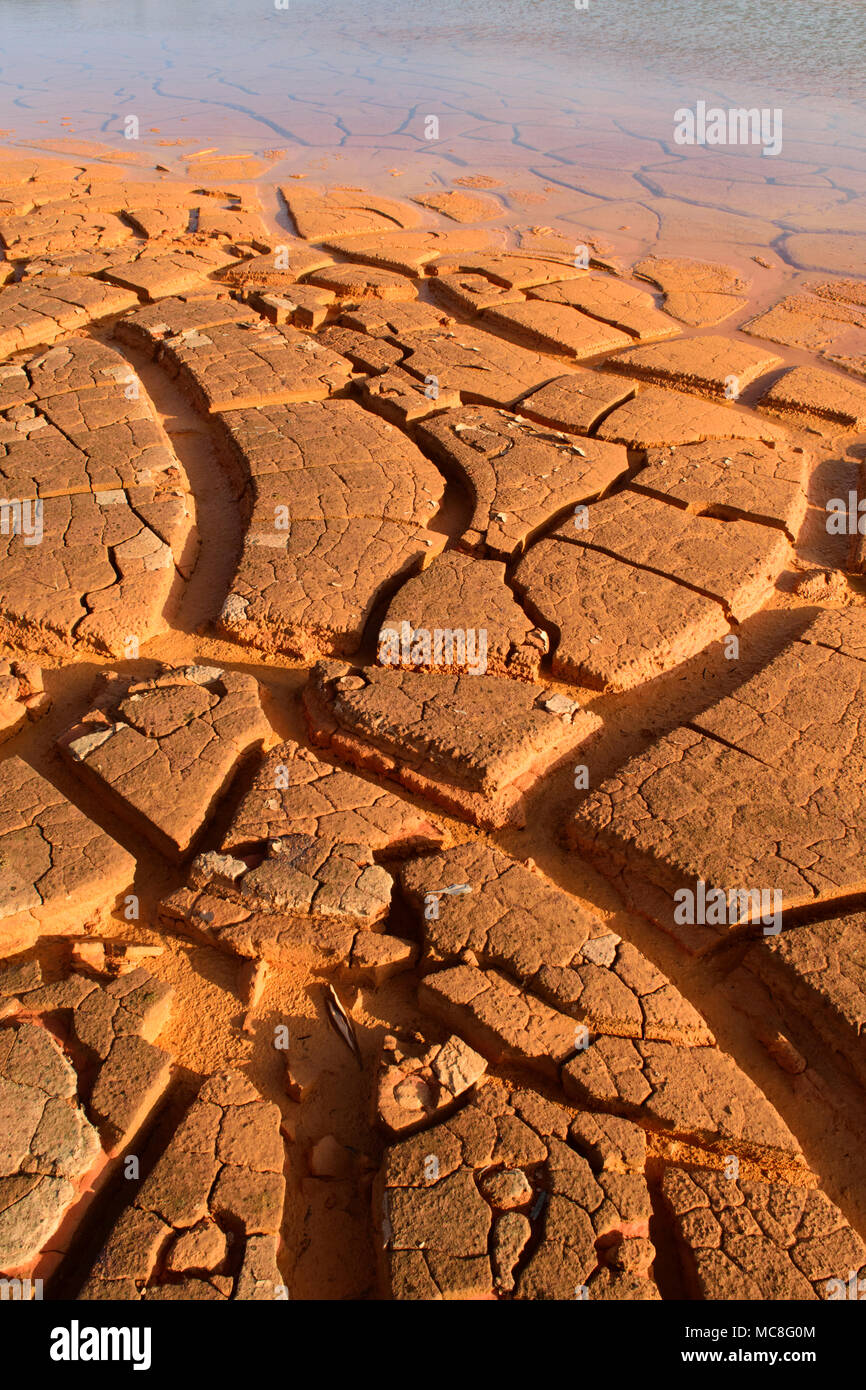 natural pattern, texture, abstract and background in nature Stock Photo ...