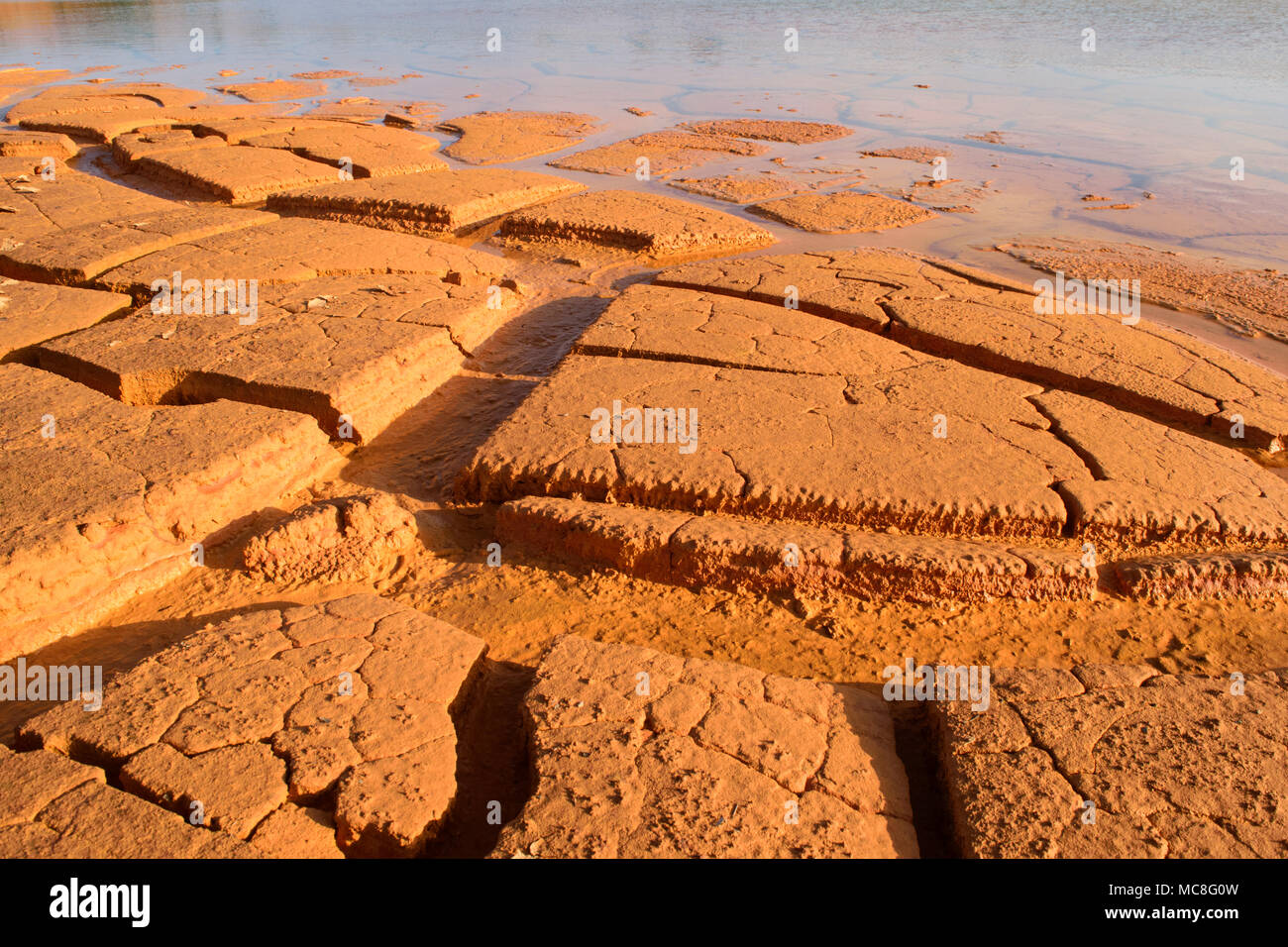 natural pattern, texture, abstract and background in nature Stock Photo ...