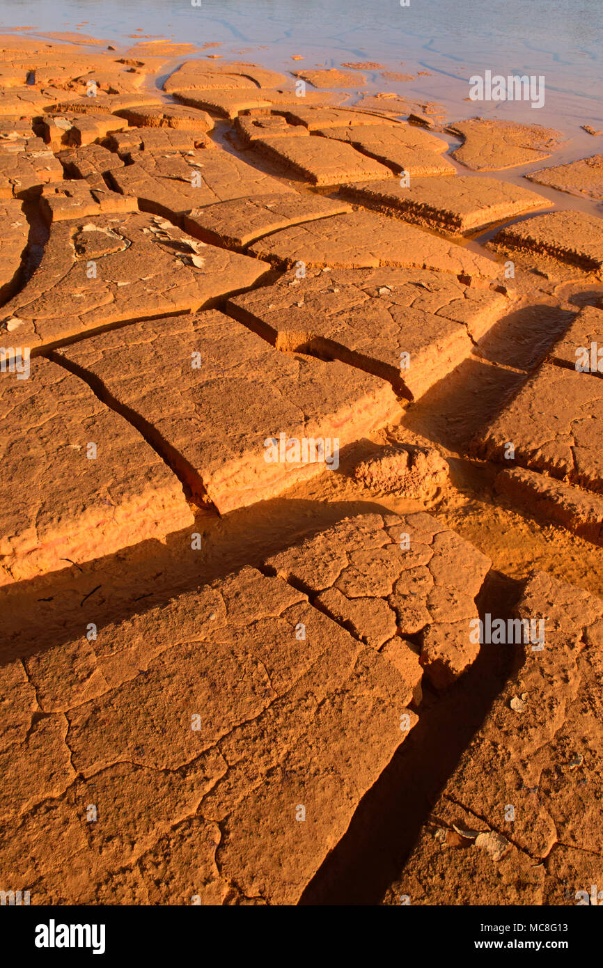 natural pattern, texture, abstract and background in nature Stock Photo ...
