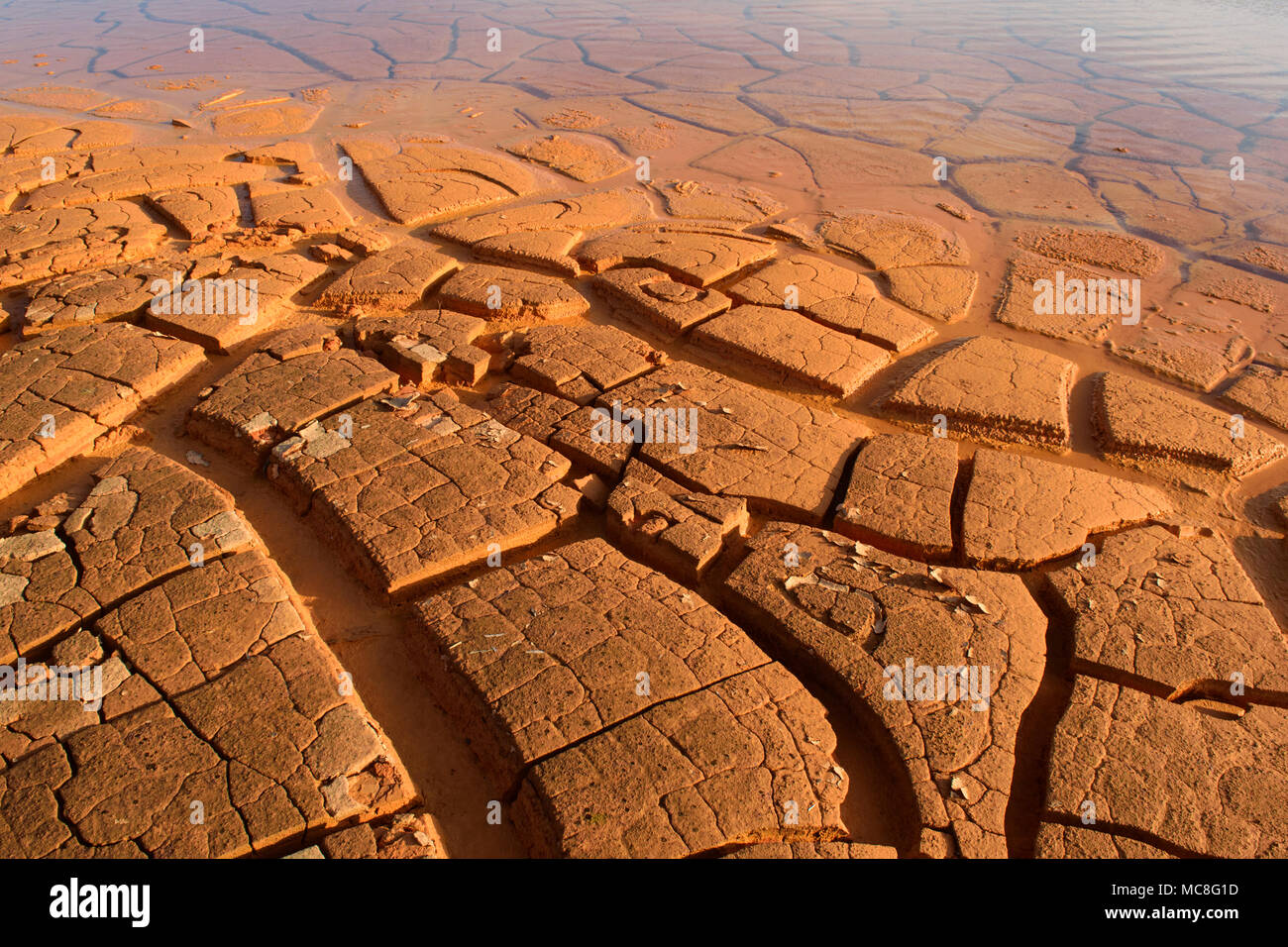 natural pattern, texture, abstract and background in nature Stock Photo ...