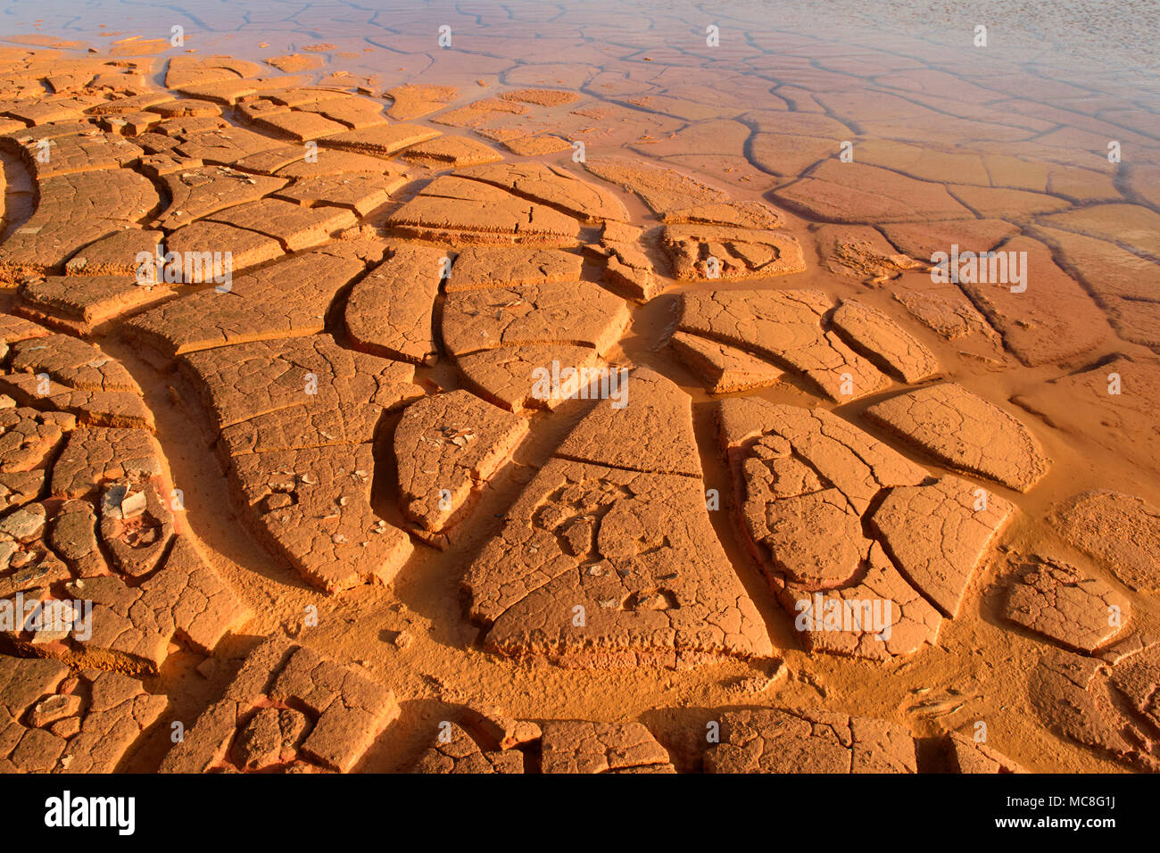 natural pattern, texture, abstract and background in nature Stock Photo ...