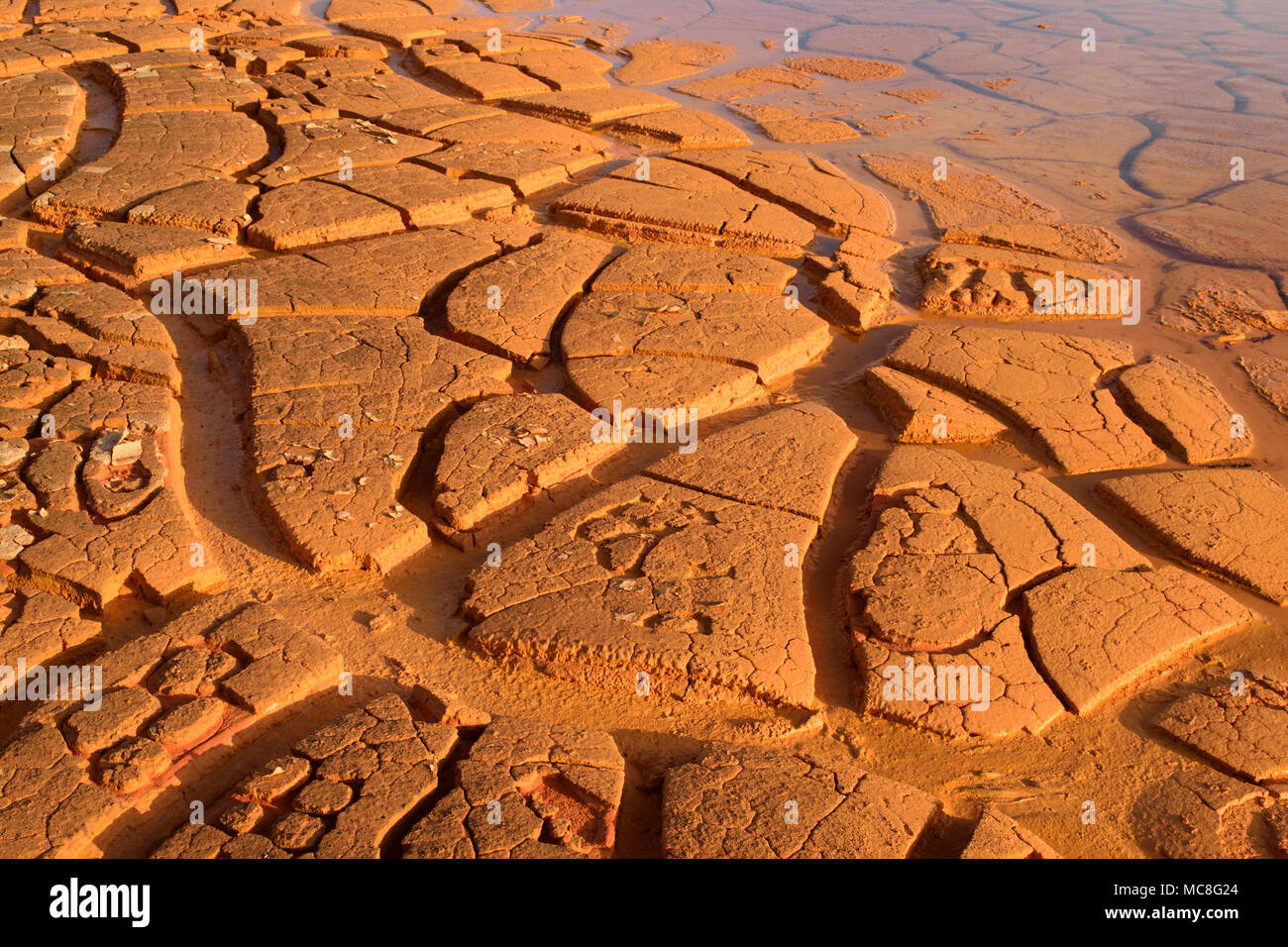 natural pattern, texture, abstract and background in nature Stock Photo ...