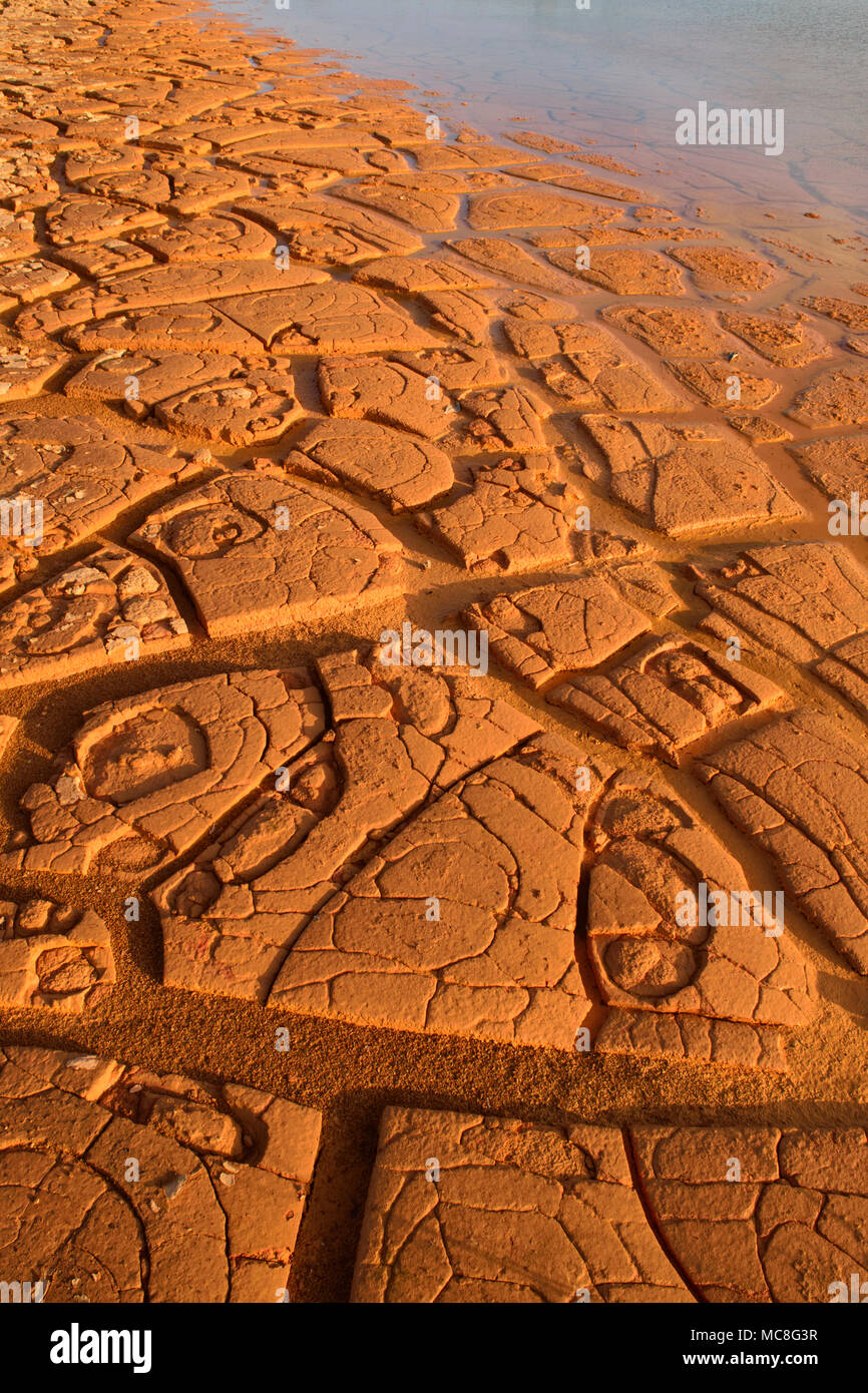 natural pattern, texture, abstract and background in nature Stock Photo ...