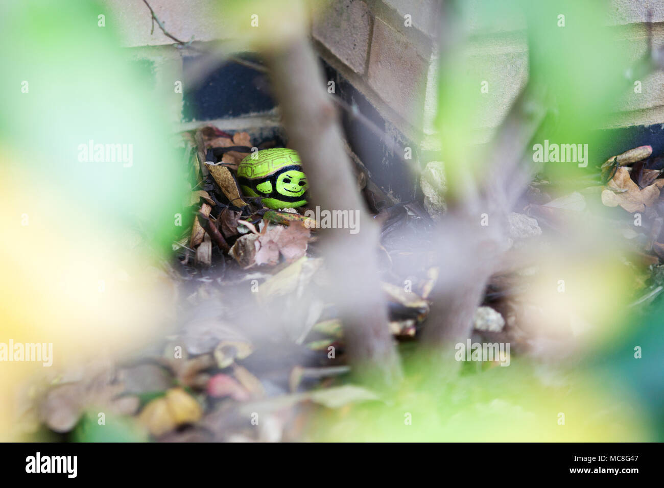 A hidden painted rock, part of the current trend for painting rocks and ...