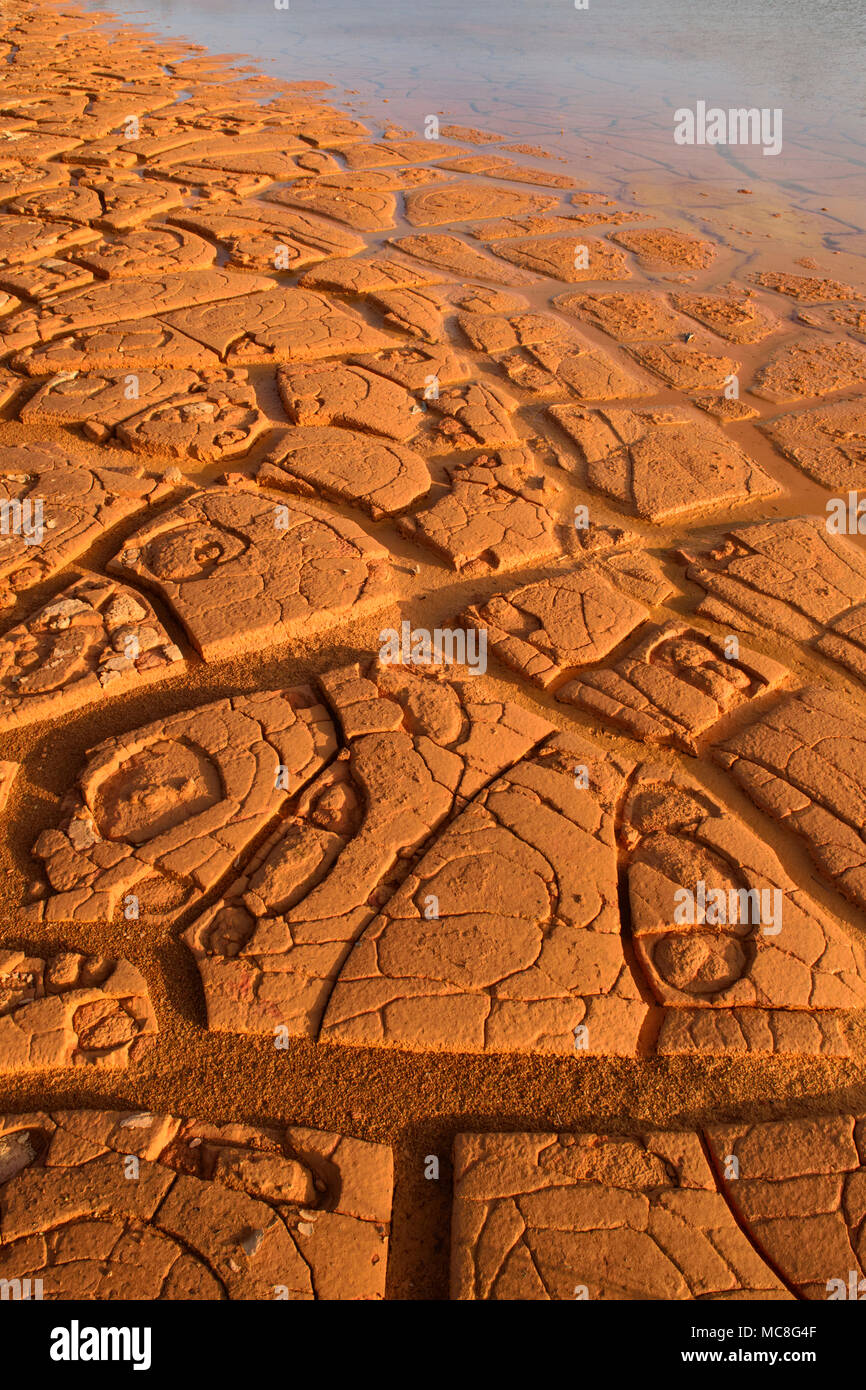 natural pattern, texture, abstract and background in nature Stock Photo ...