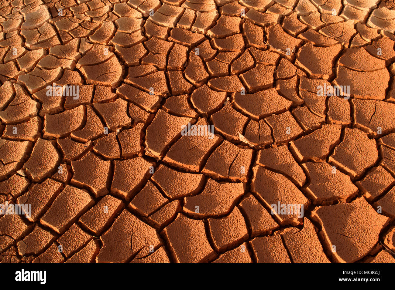 natural pattern, texture, abstract and background in nature Stock Photo ...