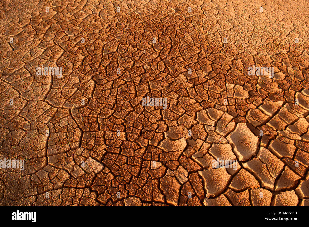 natural pattern, texture, abstract and background in nature Stock Photo ...