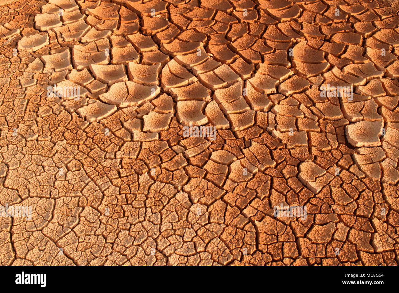 natural pattern, texture, abstract and background in nature Stock Photo ...