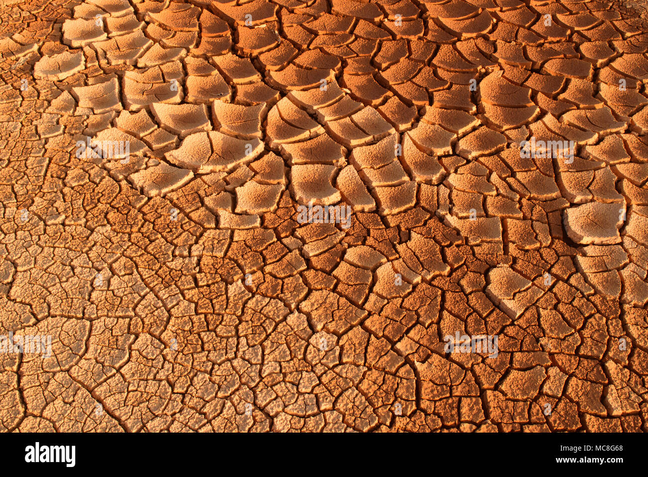 natural pattern, texture, abstract and background in nature Stock Photo ...