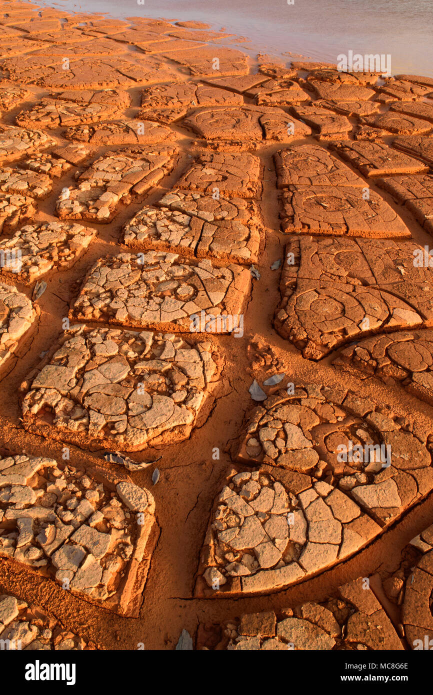 natural pattern, texture, abstract and background in nature Stock Photo ...
