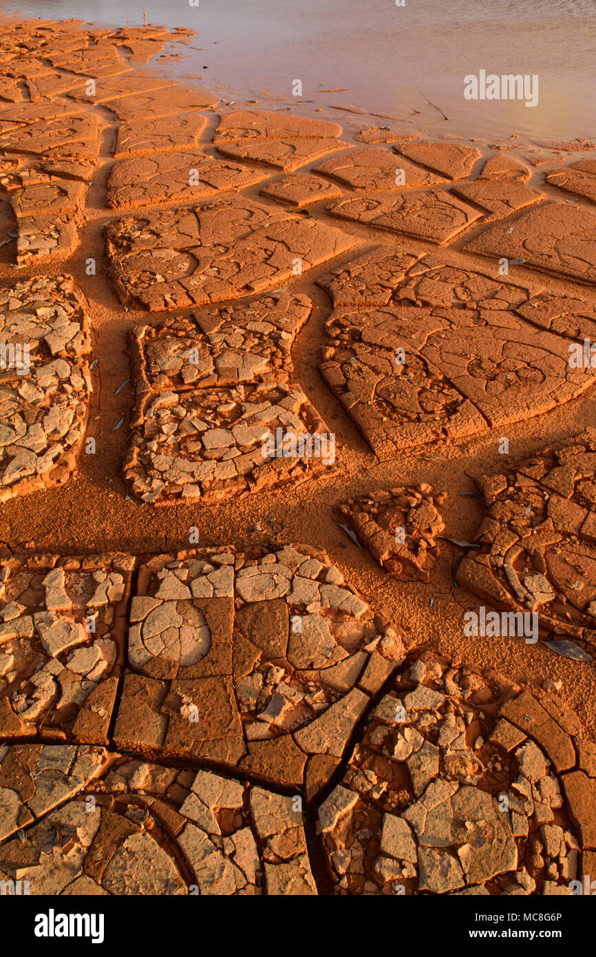 natural pattern, texture, abstract and background in nature Stock Photo ...