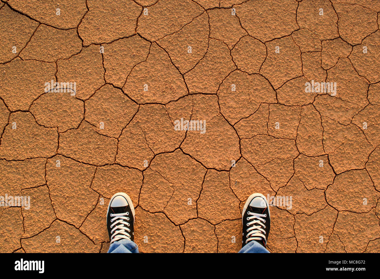 natural pattern, texture, abstract and background in nature Stock Photo ...