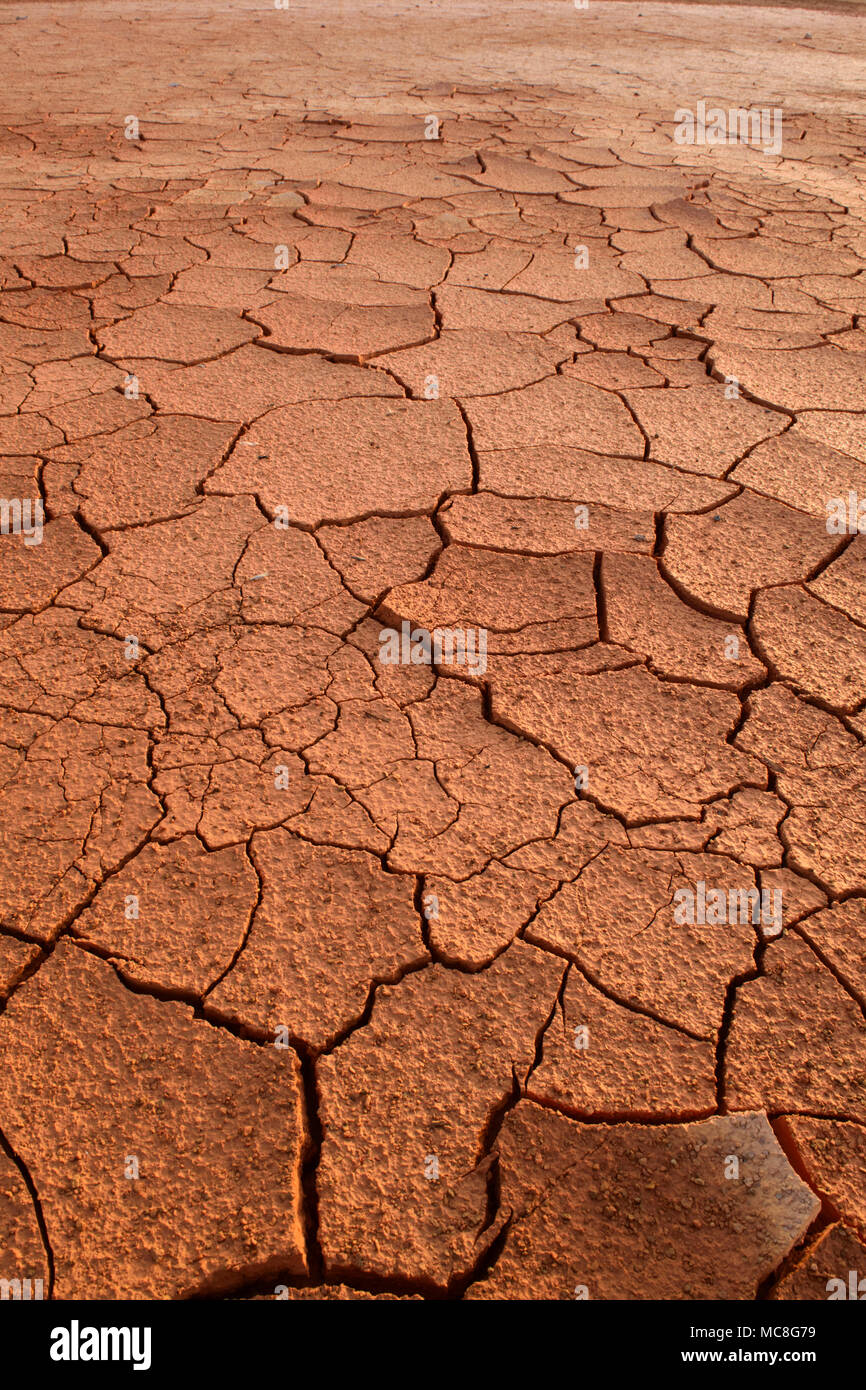 natural pattern, texture, abstract and background in nature Stock Photo ...